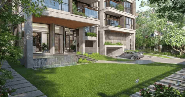 Shalmolee | Projects